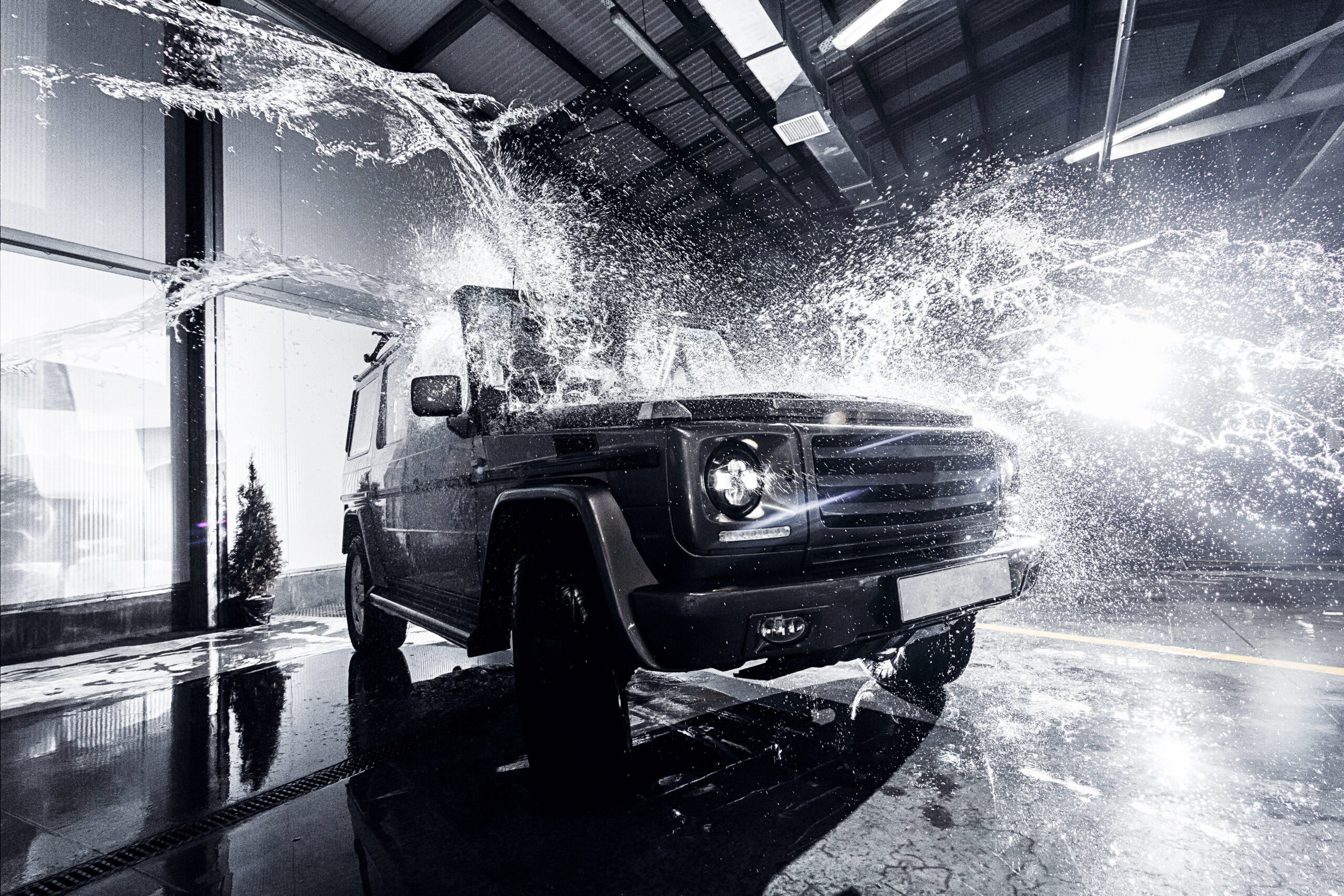 A Look Inside Wash Fox’s Unlimited Wash Club Membership | Washfox Car Wash